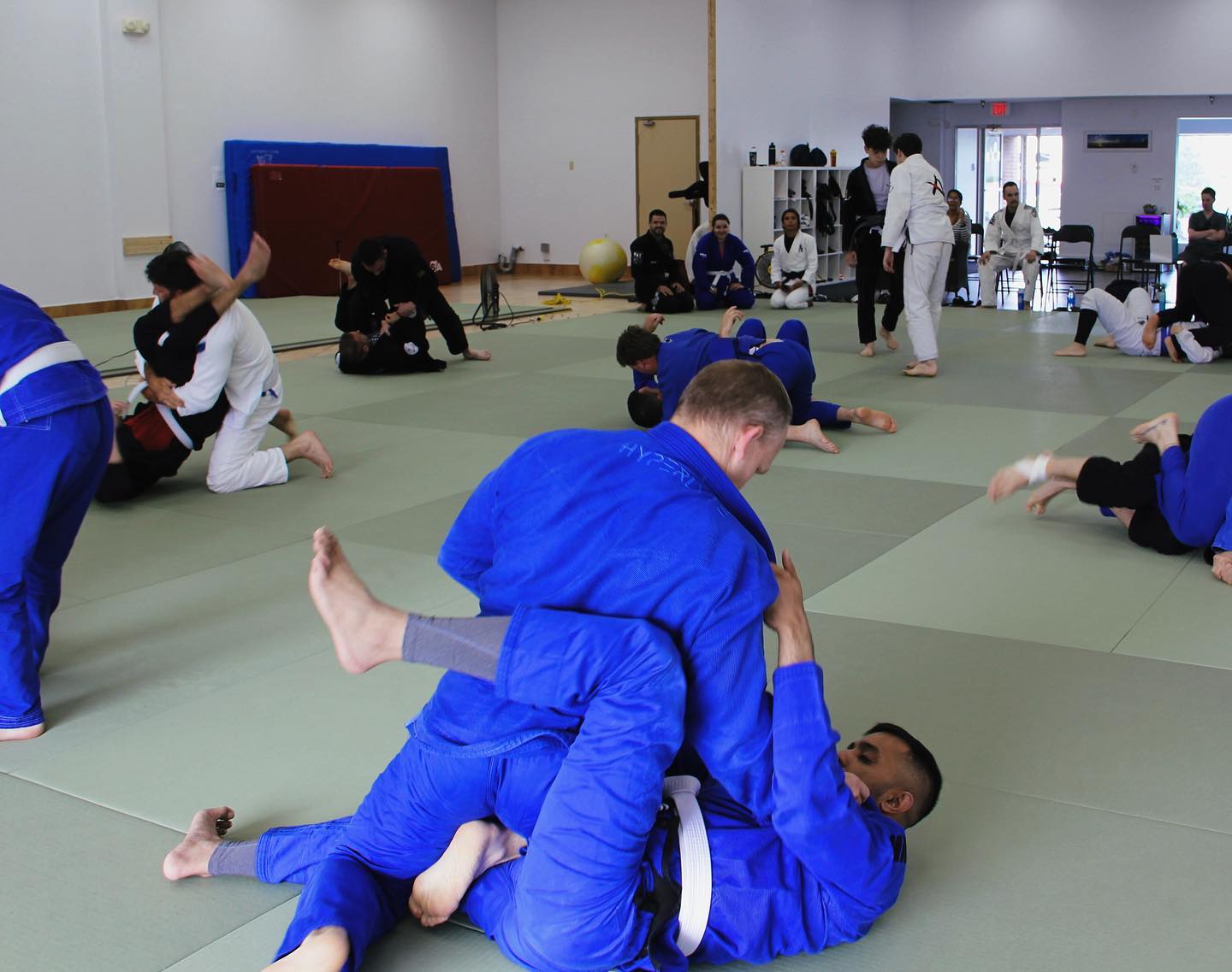 Jake Mackenzie School of Jiu Jitsu Halifax | World Class BJJ Training