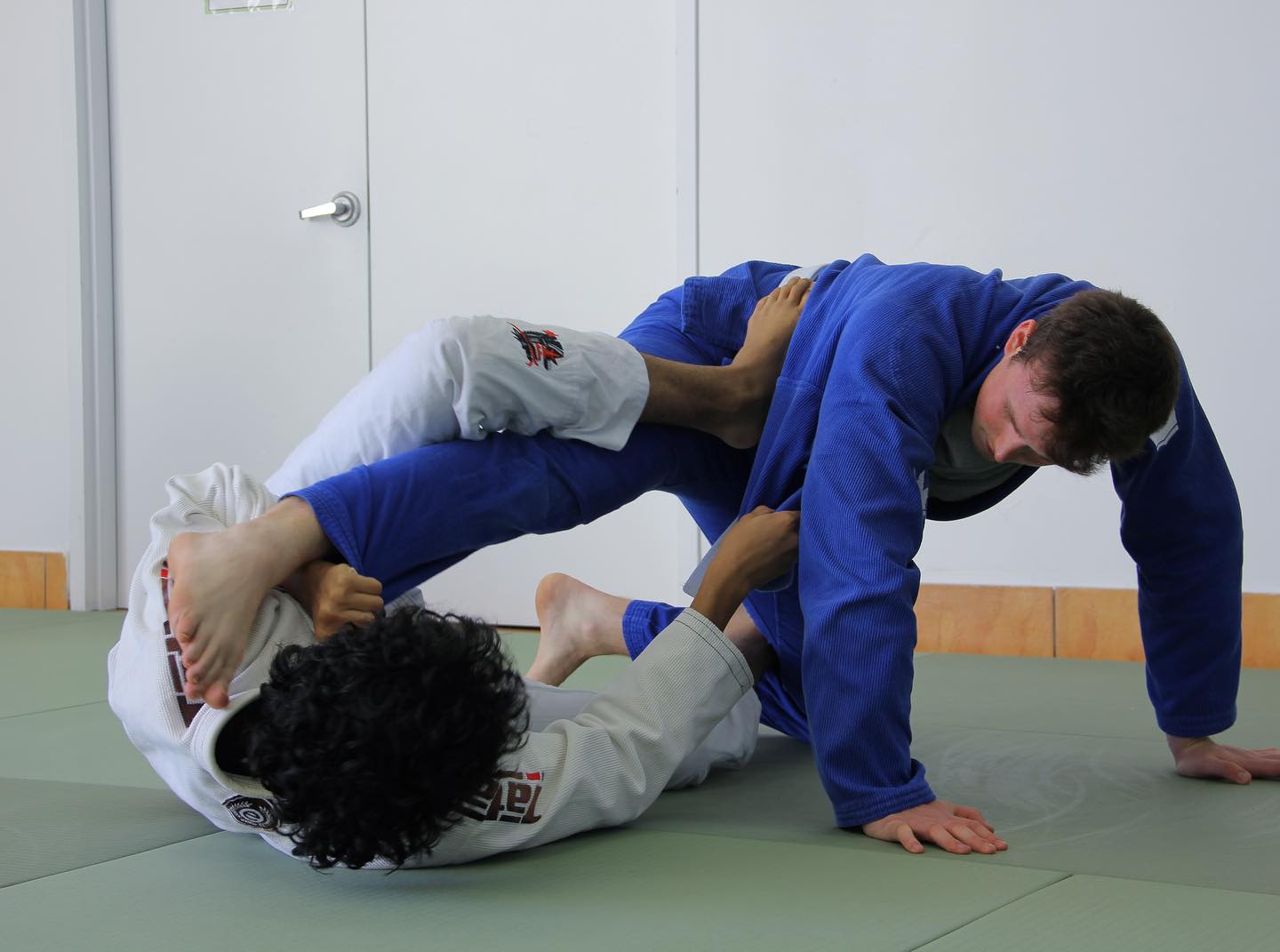 Jake Mackenzie School of Jiu Jitsu Halifax | World Class BJJ Training
