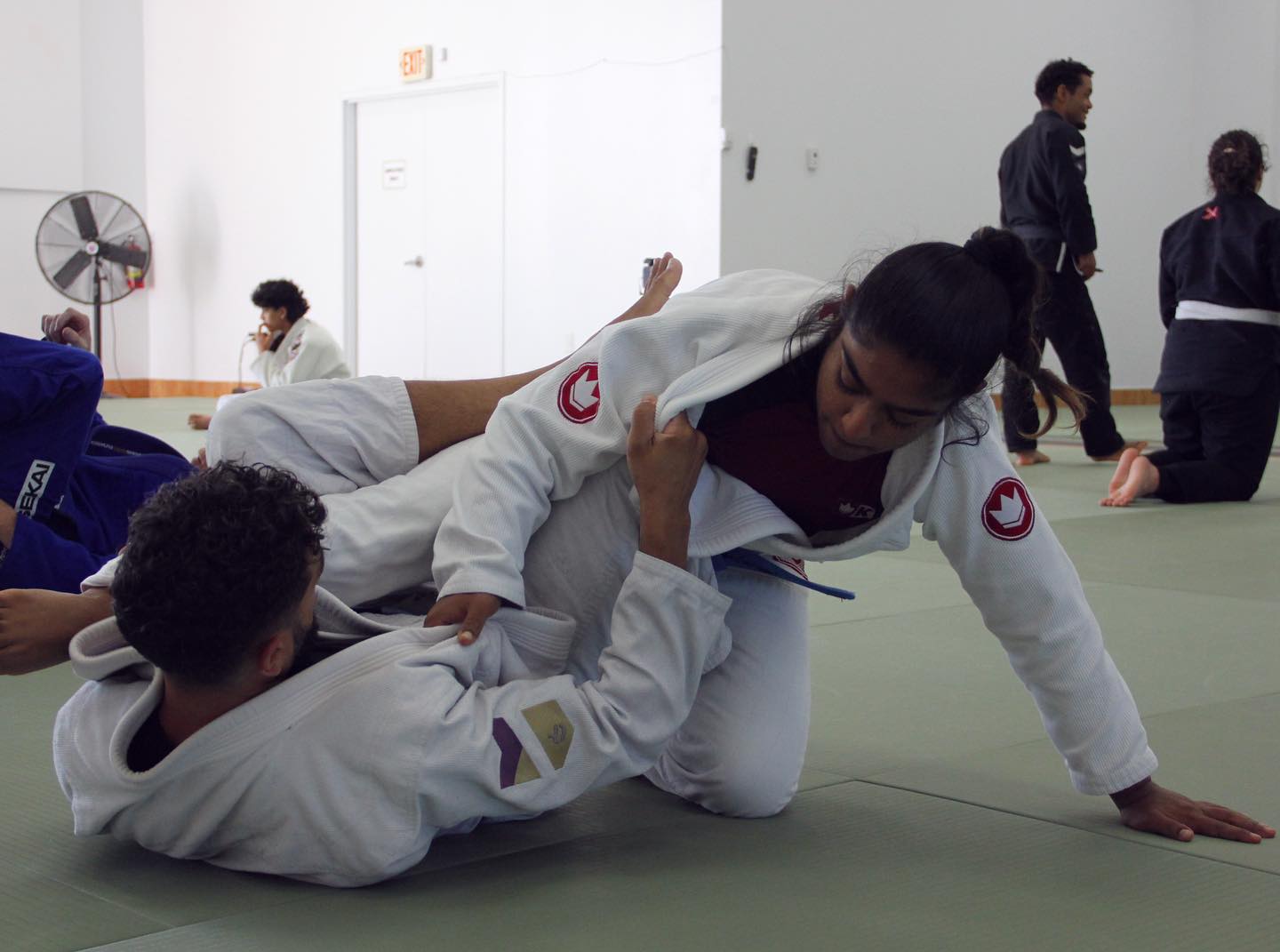 Jake Mackenzie School of Jiu Jitsu Halifax | World Class BJJ Training